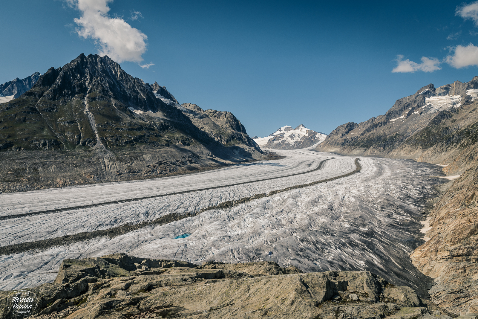 The Great Aletsch Glacier - Mercedes Catalan
