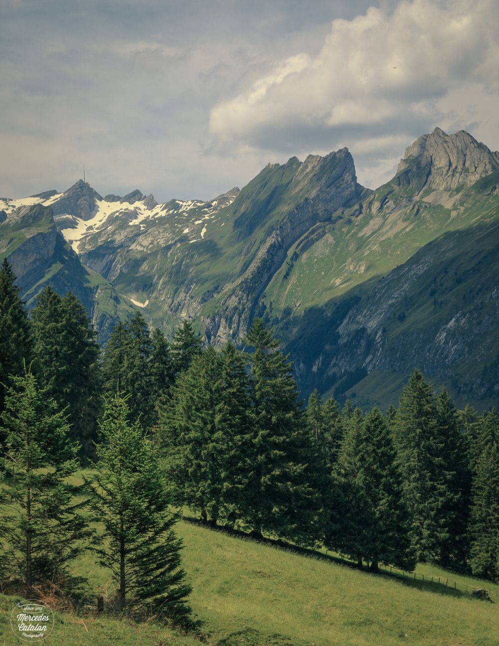 Summer in Alpstein - Mercedes Catalan